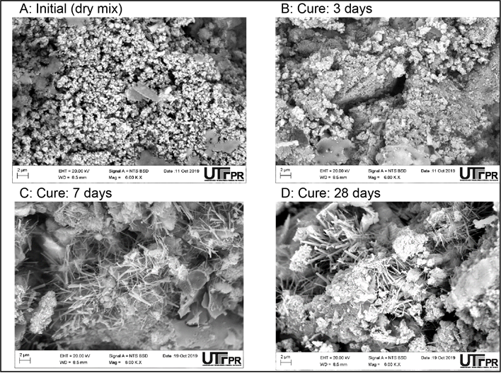 Foto em preto e brancoDescrição gerada automaticamente